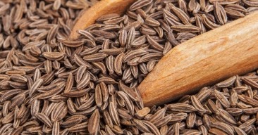 Top 14 amazing benefits of caraway seeds