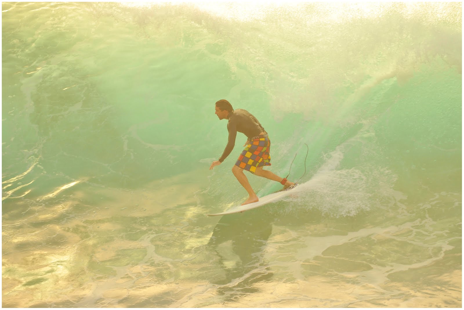 swop surfboards: HAWAII