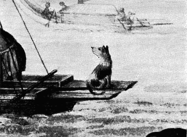 Hunting in Western Samoa and Eastern Samoa - Traditional methods in ...