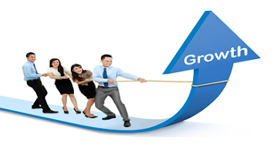 Developing effectiveness in human resources management for ...