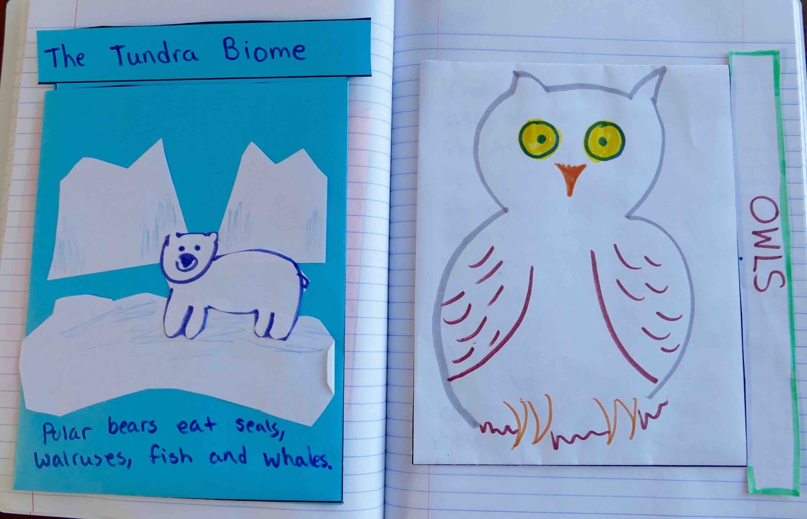 Pull Out and Sliding Inserts for Interactive Notebooks - Teaching ...