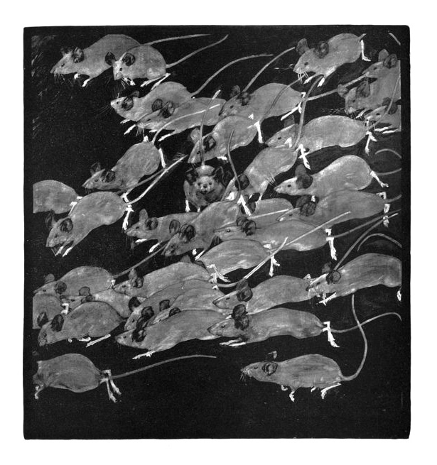 Animalarium: An Alphabet of Animals