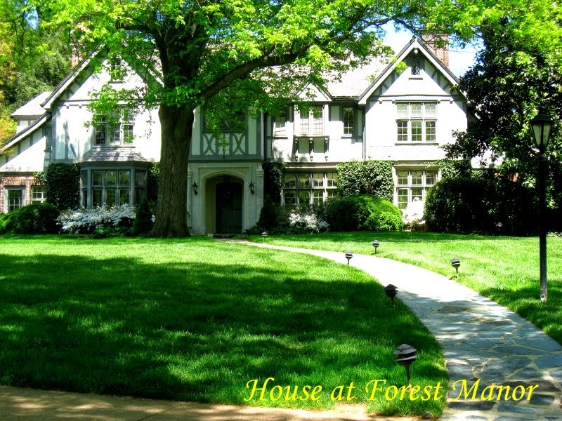 House at Forest Manor: A Drive-by Photo Shoot