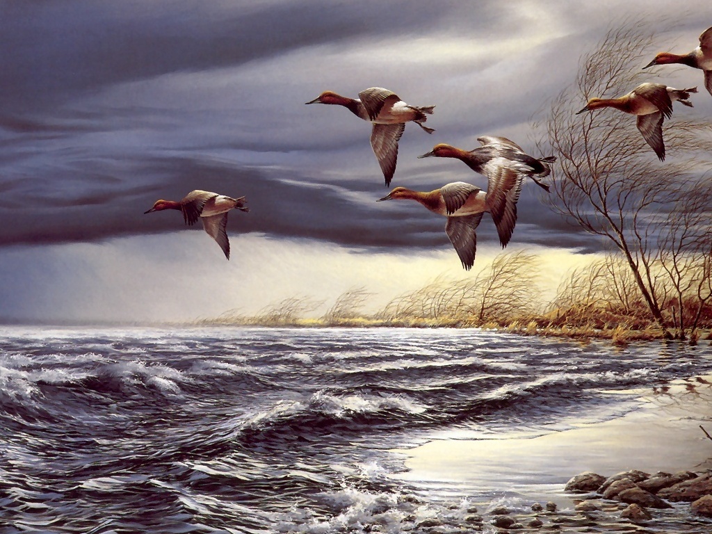 Terry Redlin Art ~ Photos Art