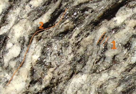 Tectonics and Mountain Building of Western New England: Week 4 ...