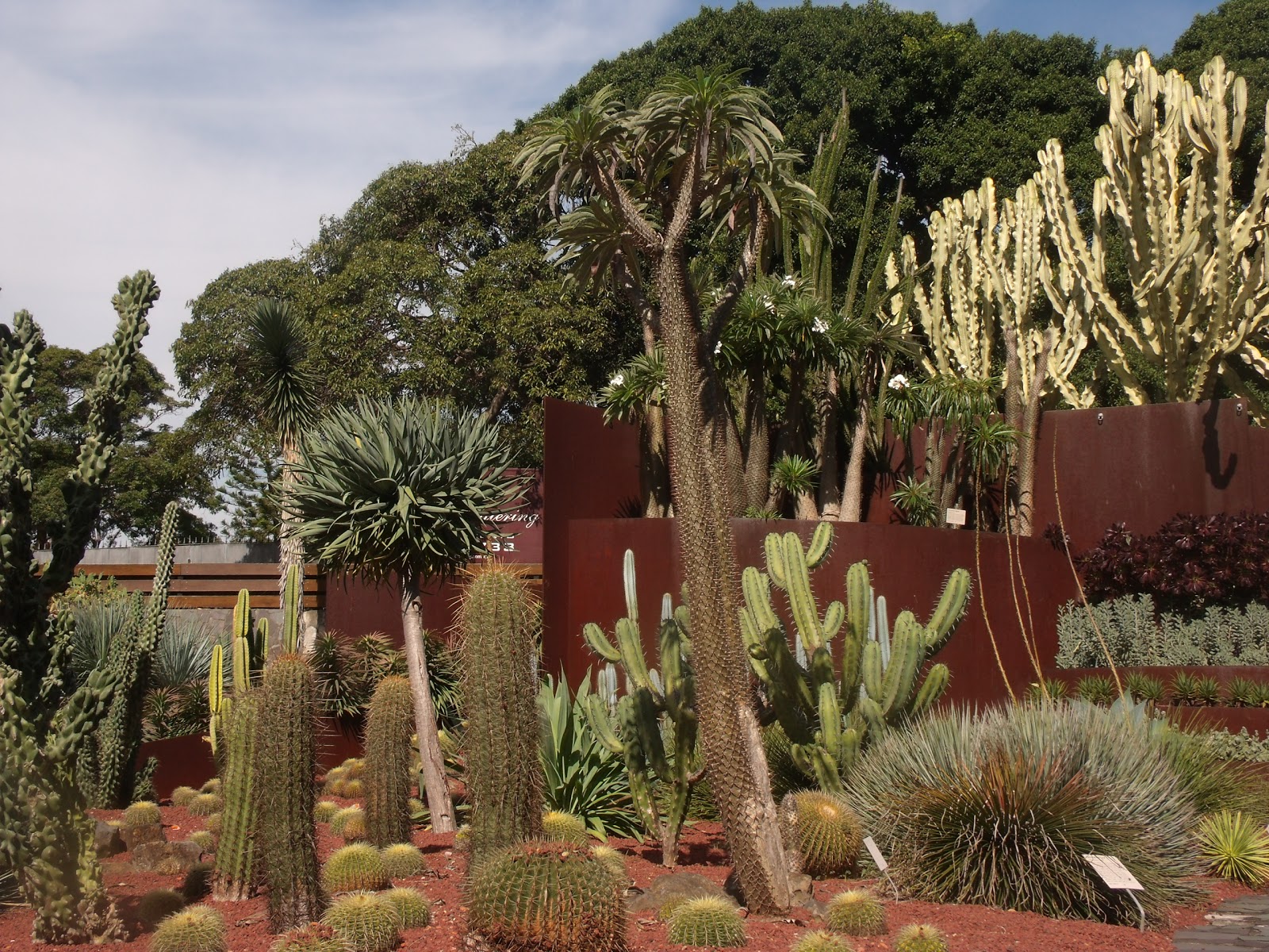 Sydney travel: Sydney garden free to see Sydney Botanical Gardens