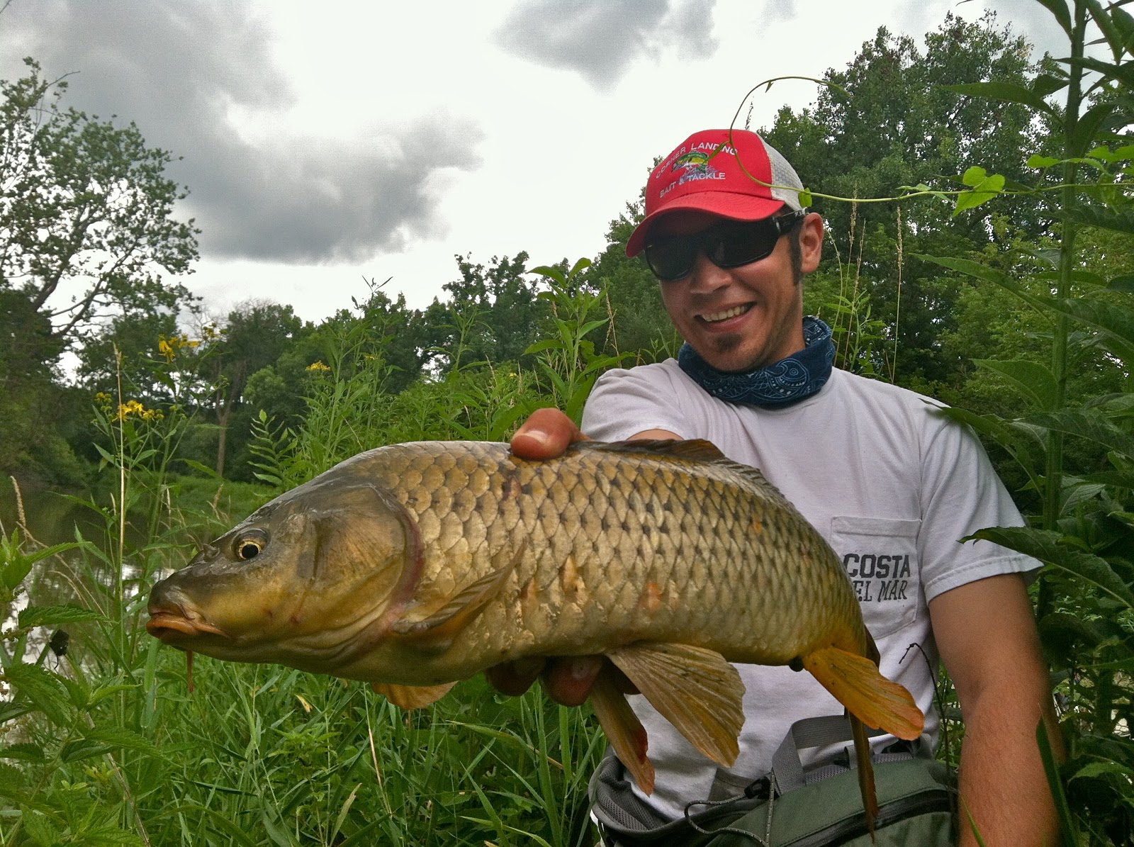 DUDEWATER: A Hierarchical Classification of Common Cyprinids