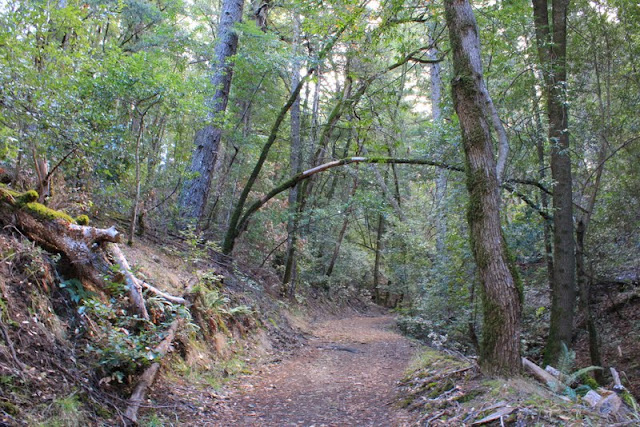 Eye On The View: Sanborn County Park II - Summit Rock Loop Trail