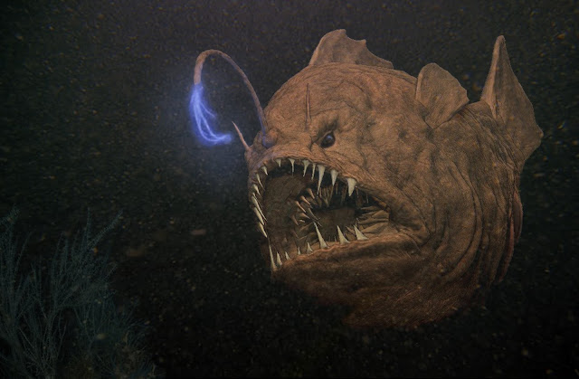 Luahan Hati Olalajuon ...: Ikan Anglerfish atau popular dengan nama ...