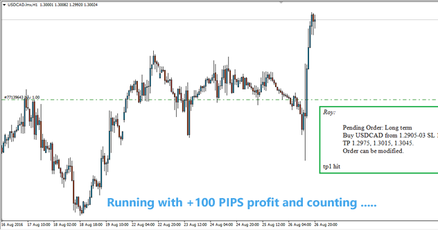 Best Forex Signal SMS Email Worldwide: Running Trade of Preferforex