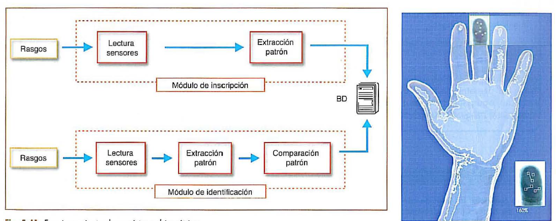 Sistemas biométricos - FORMADOR TI