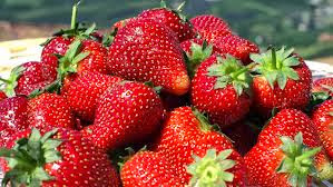 Bello Abril: octubre 2013