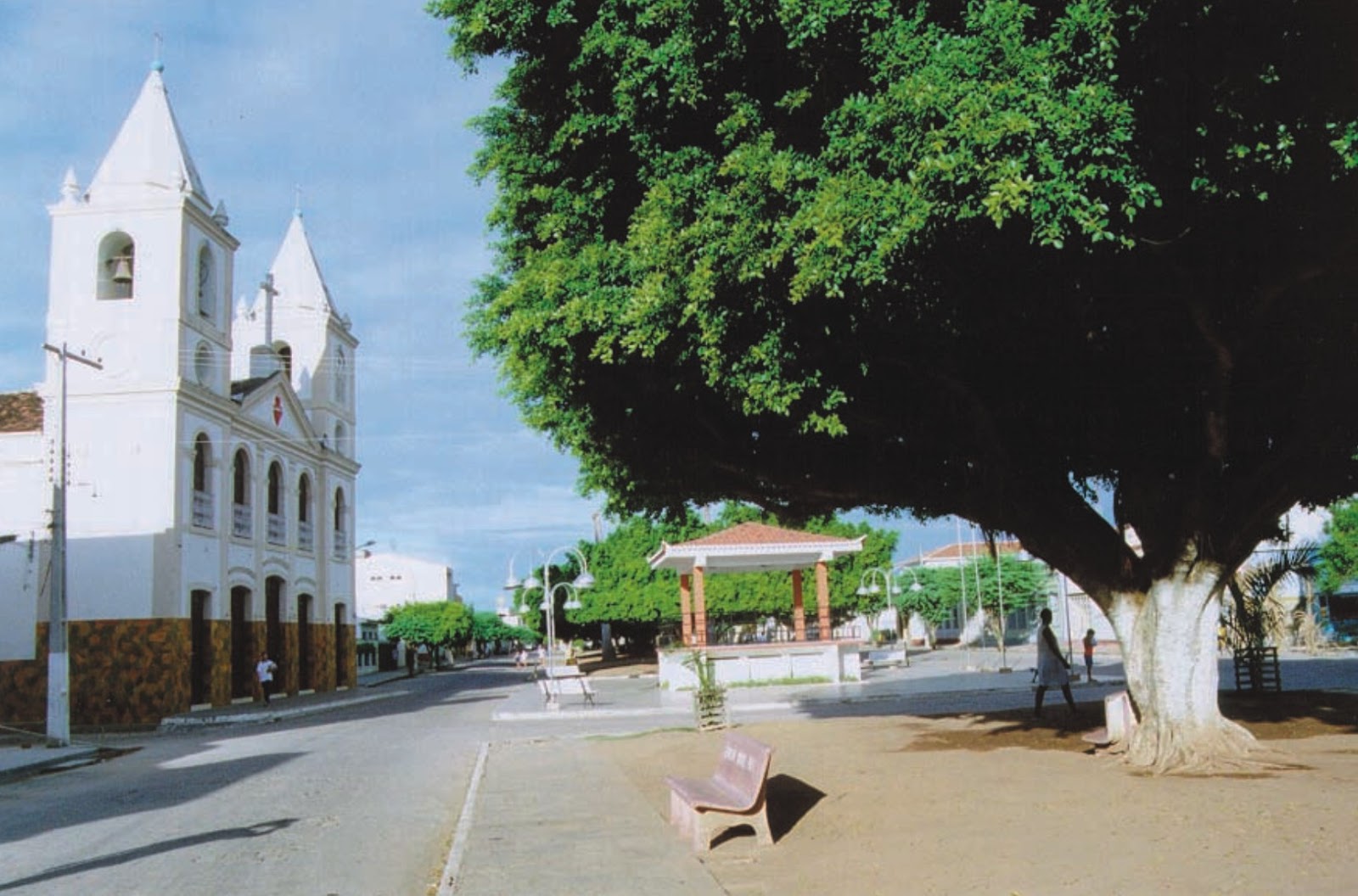 Blog do Ticianeli: Memória da Flor: uma homenagem a Zé Paulo