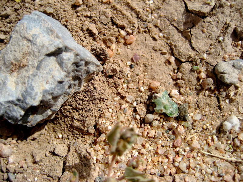 Living Rootless: New Mexico: Trinity Site