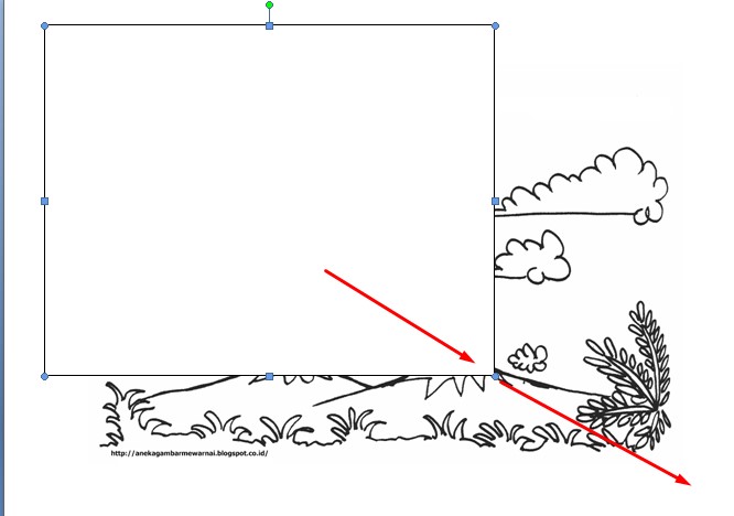 Cara Membuat Garis Pinggir Pada Gambar Mewarnai Di Ms. Word | Terlintas ...