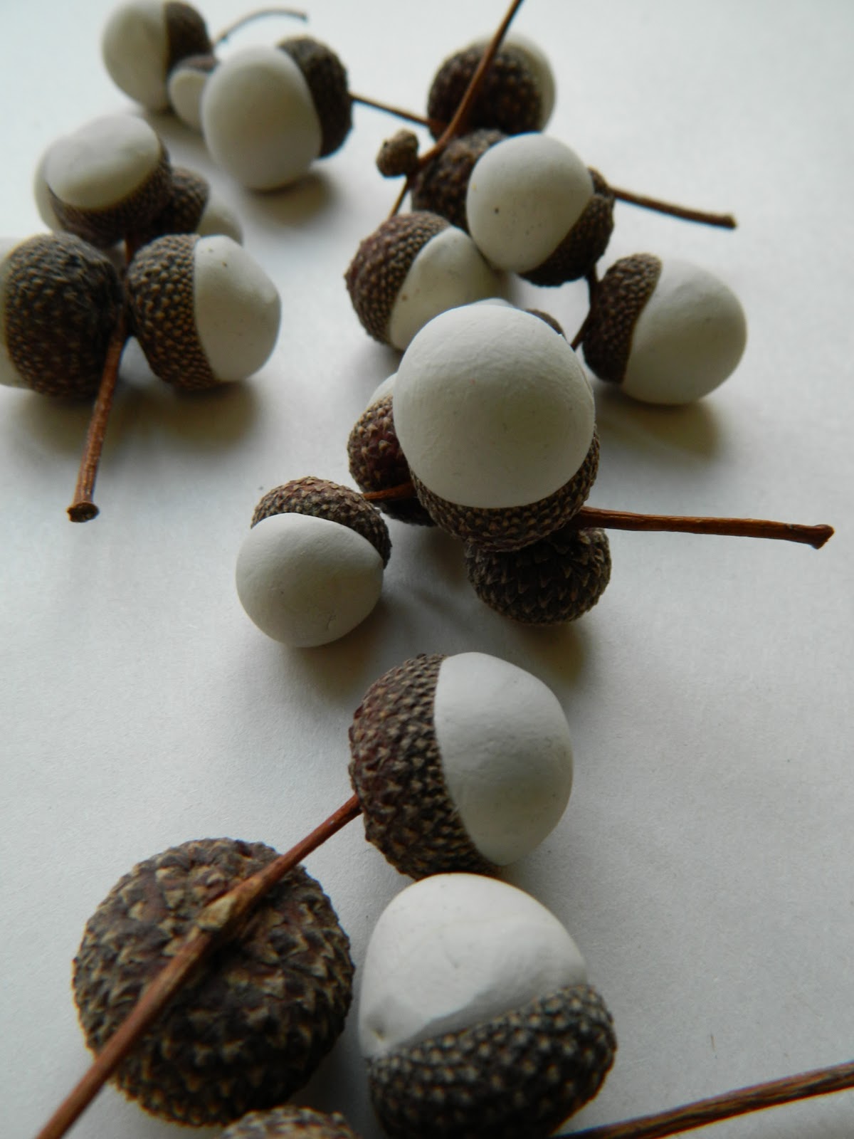 Hannahmaybrown: White plasticine and acorn cups