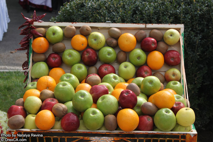 Uzbek Brian: Fruit in Uzbekistan: Photo Collection from A Fruitarian's ...