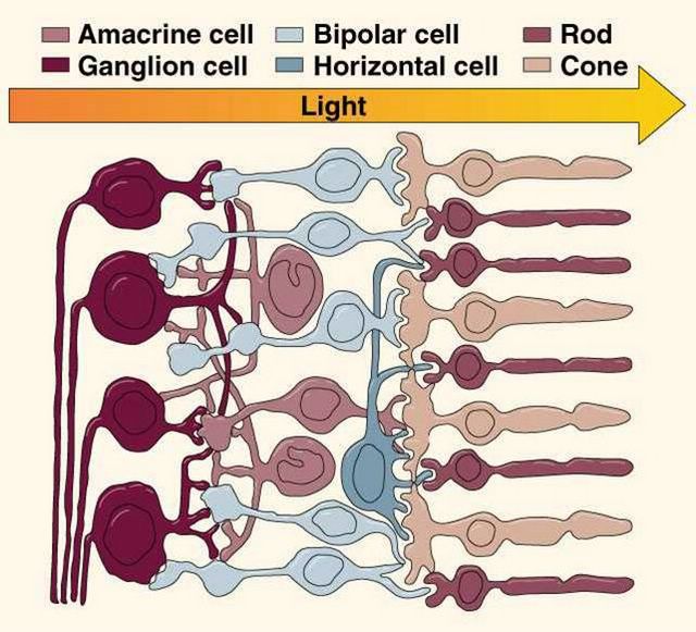 Sinapsis: octubre 2012