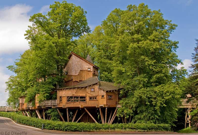 Suburban Camping Co.: living in the trees! {amazing treehouses}