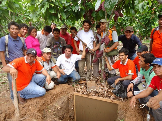 Agronomía: El Rizotón