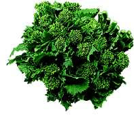 Brooklyn Girls Cooking: Rigatoni With Sausage & Broccoli Rabe