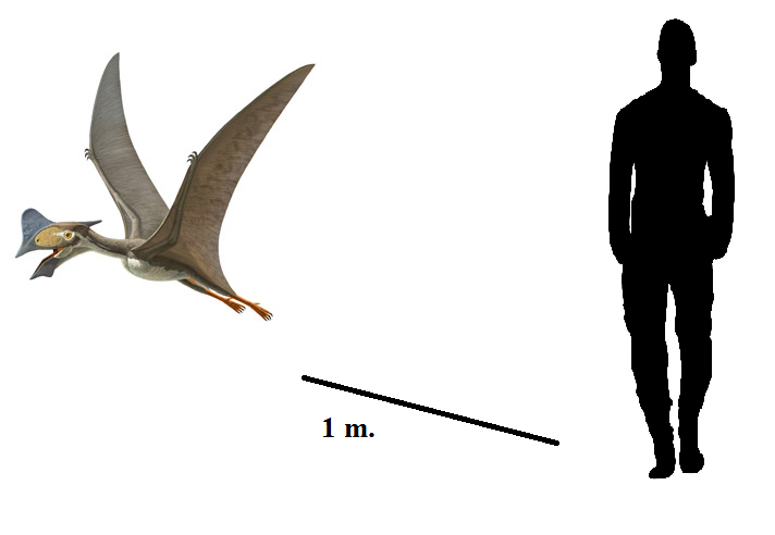 Vitakrisaurus El Dinosaurio De La Semana