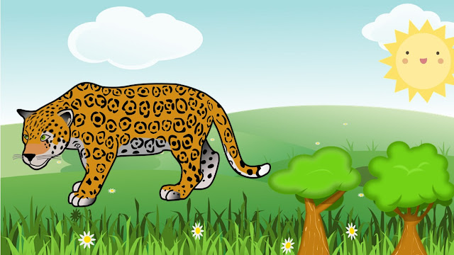 CANTINHO + SABER: Figuras que ensinam longe e perto (Educação infantil)