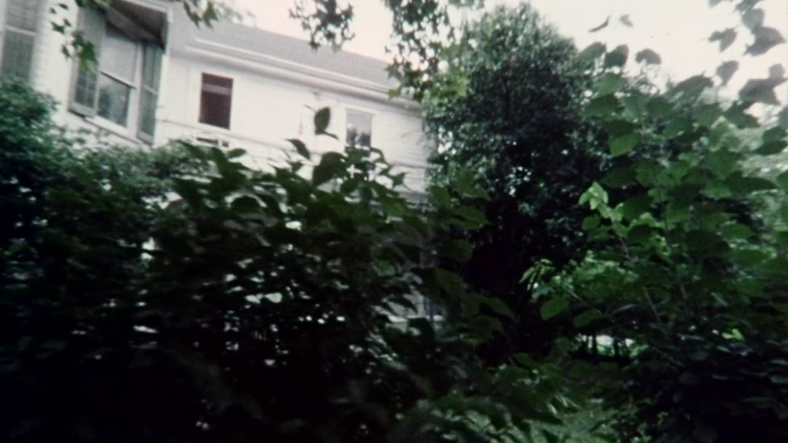 Tobe Hooper Appreciation Society: THAS: 'Eggshells' Is...