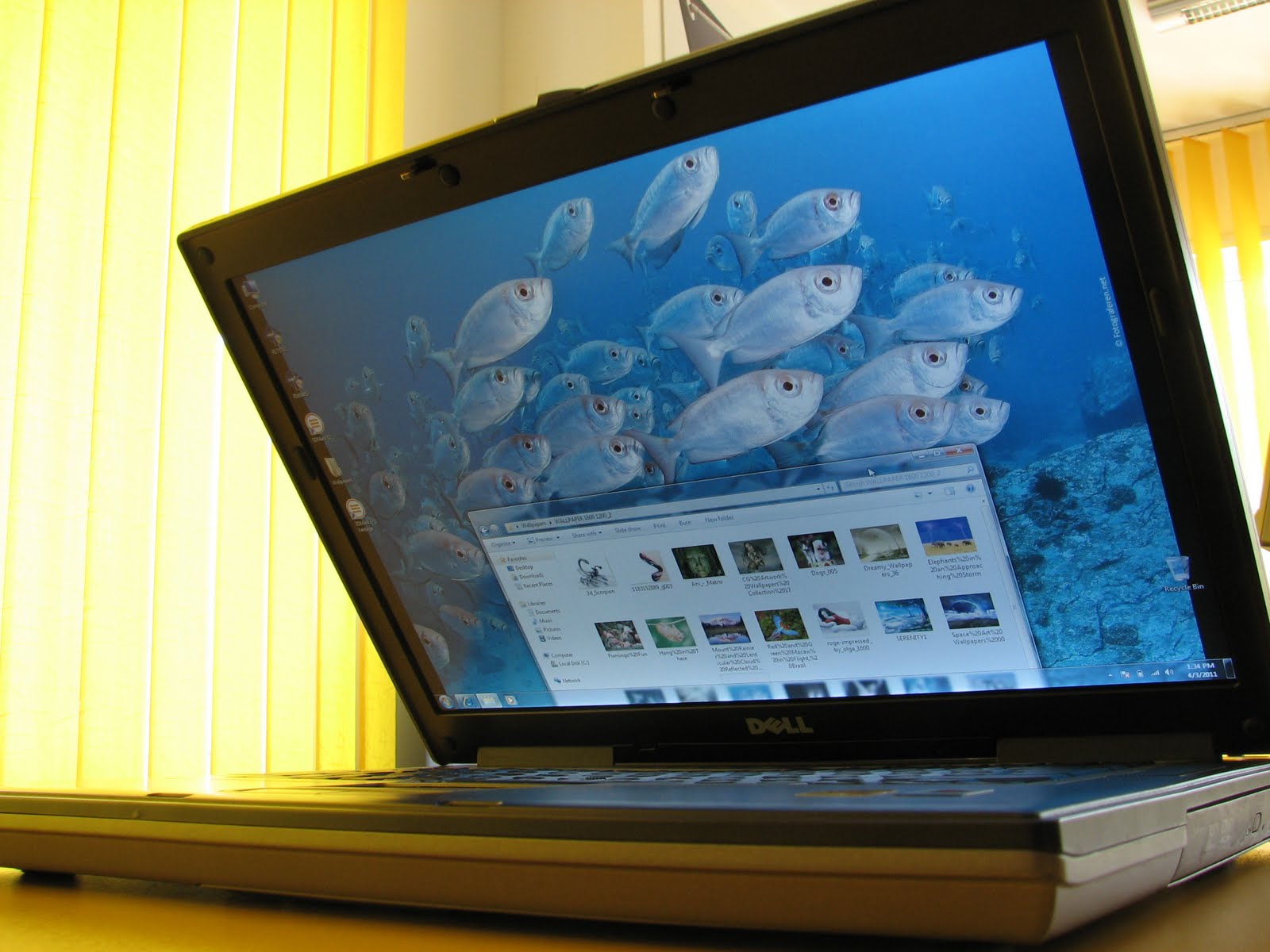 DELL Precision M65 - последната качествена графична станция на DELL ...