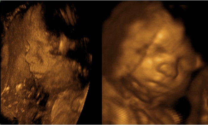 Welcome to Nana's Comfy Home