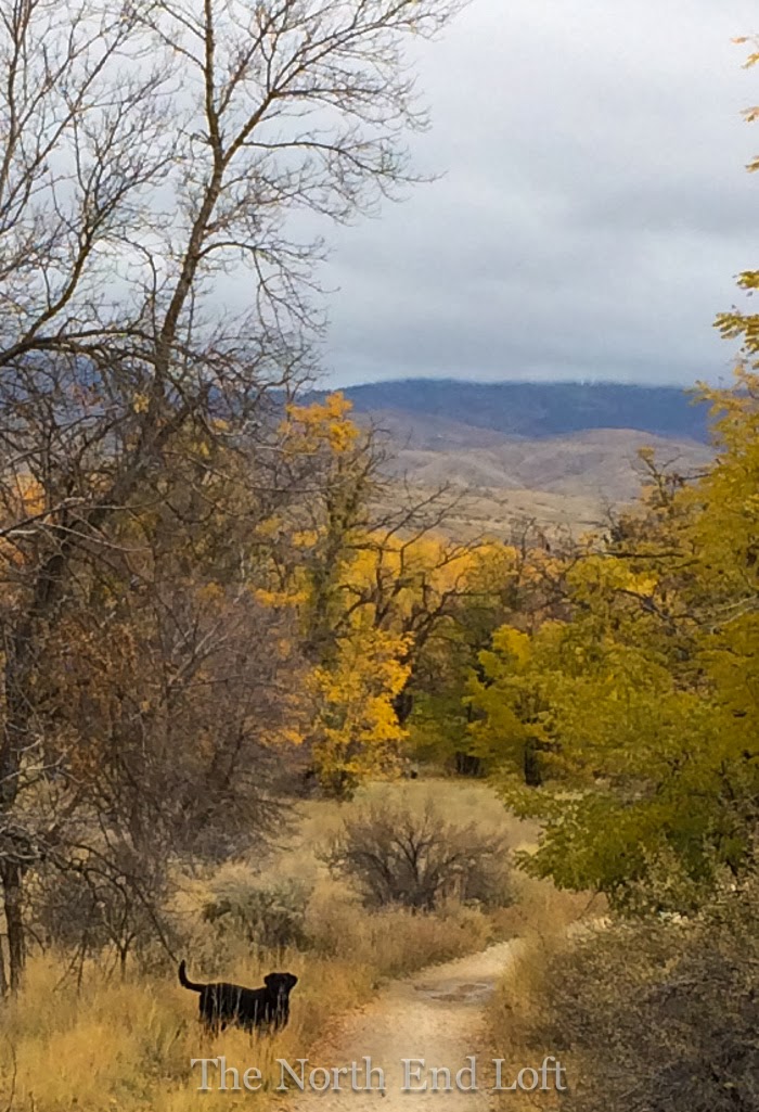 The North End Loft: An Autumn Walk Through the Boise Front