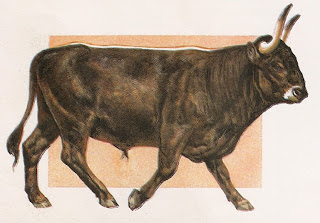 Arca dos Extintos: Auroque