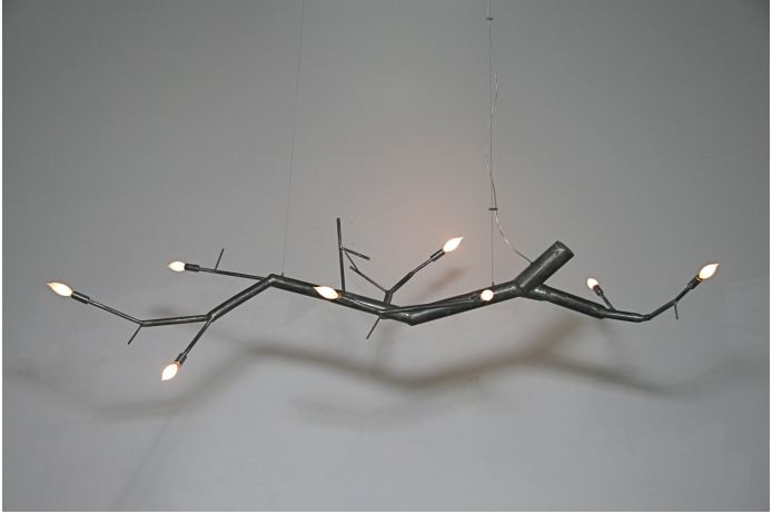 Tree Branch With Lights Home Ideas Designs
