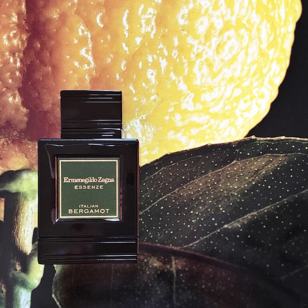 The Beauty Cove: IL PROFUMO: ITALIAN BERGAMOT di ERMENEGILDO ZEGNA