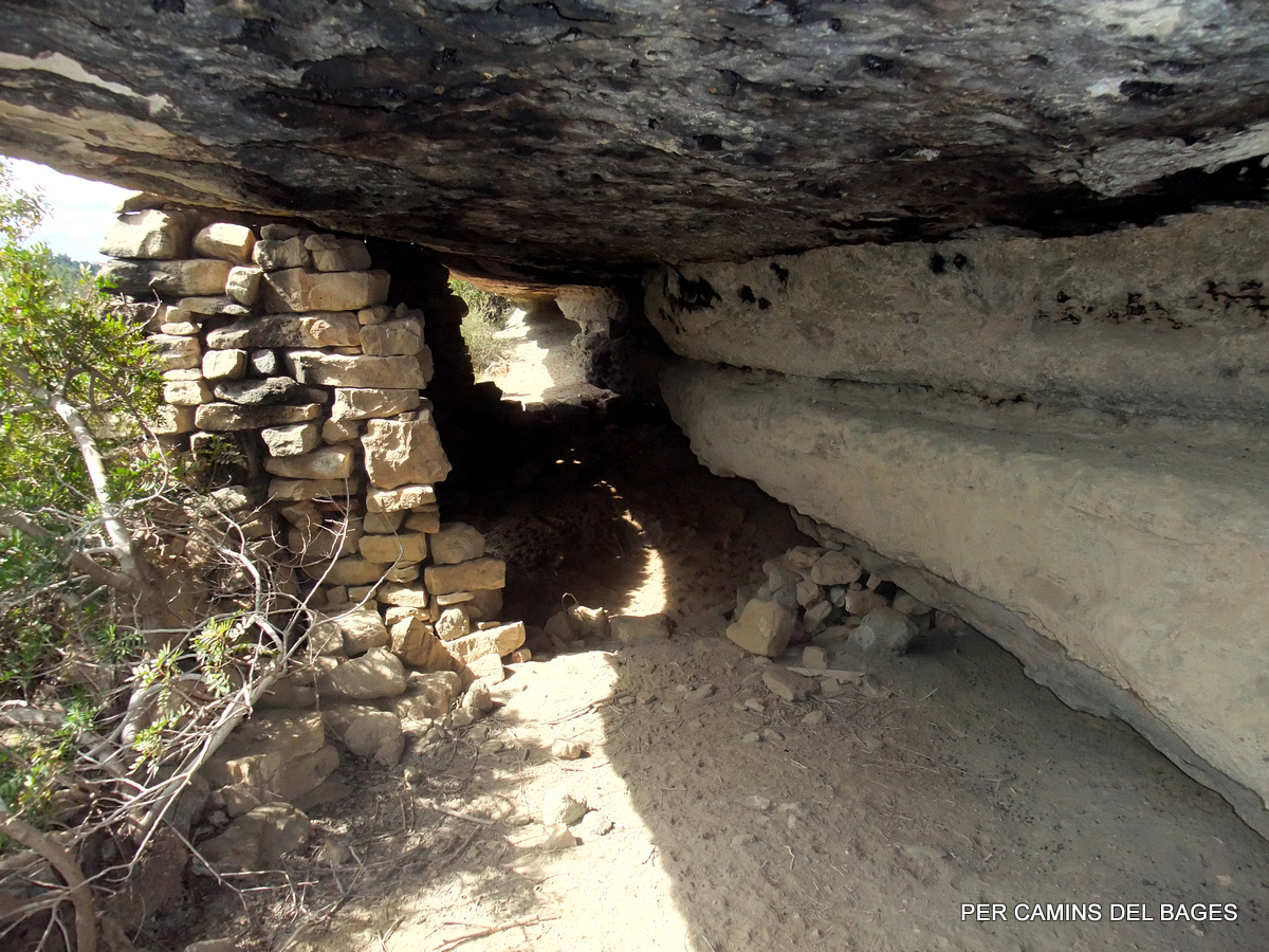 PER CAMINS DEL BAGES: BALMA DE LES BAIONES