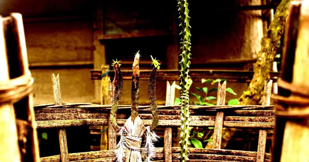 Bathou Bwrai and Siva revisited