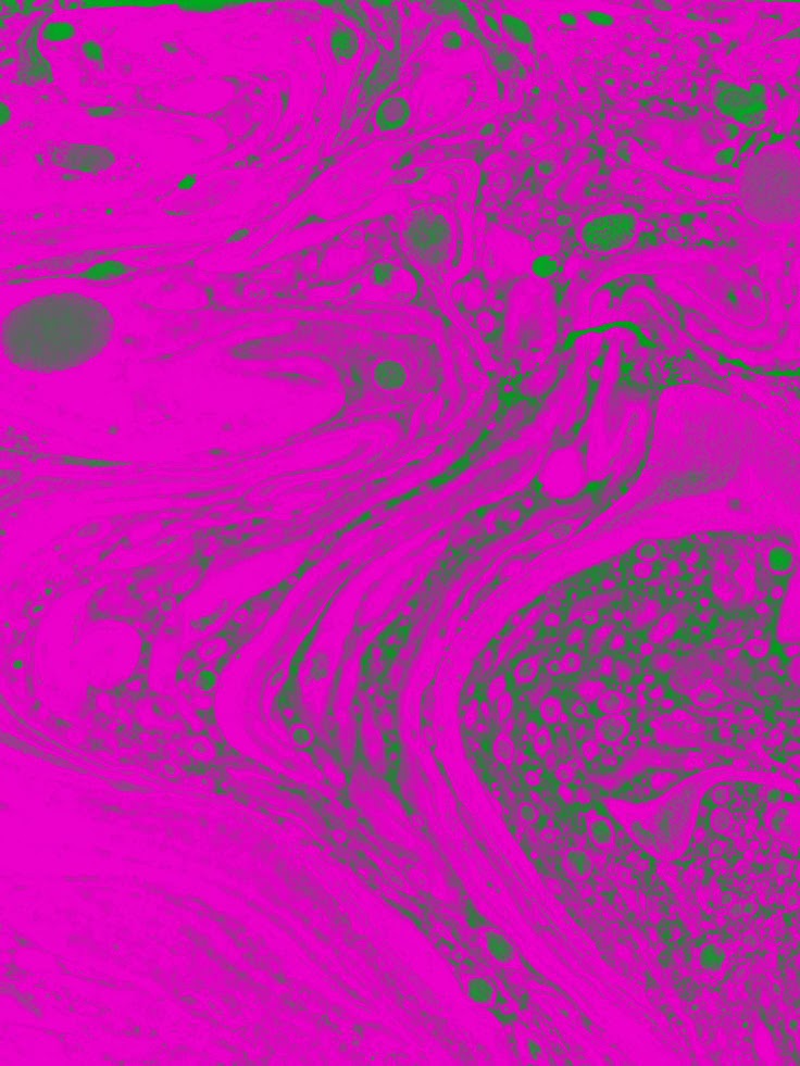 Hayley Keane: Photoshop Introduction!!