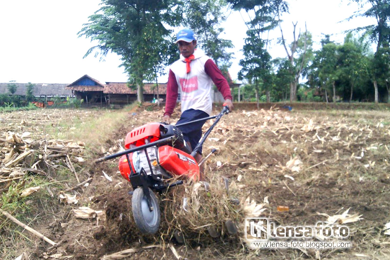 Lensa Media: Cara Olah Tanah Minimum dengan Mini Rotary