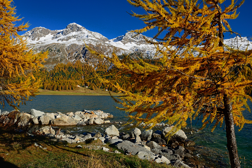 NATUR-WELTEN Unsere schönsten Fotoerlebnisse: Lärchengold und ...
