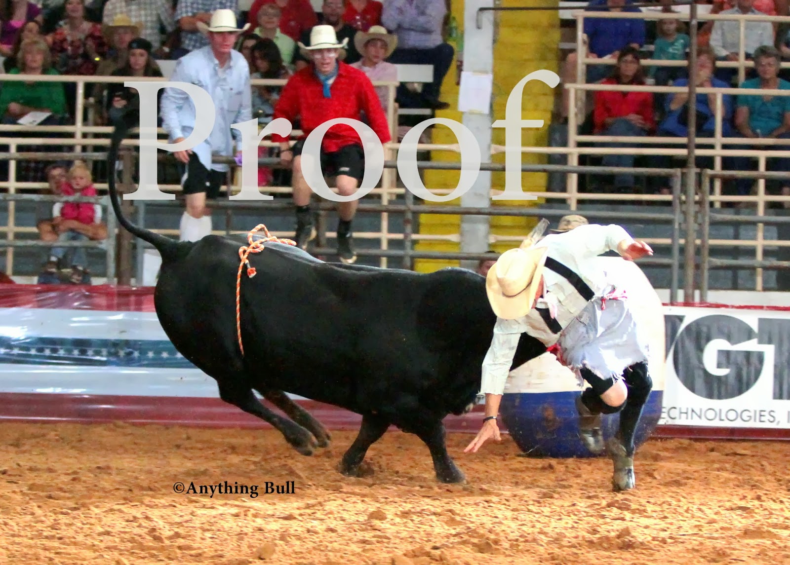 Anything Bull or Rusty: Friday Round 5 - Clint Hopping