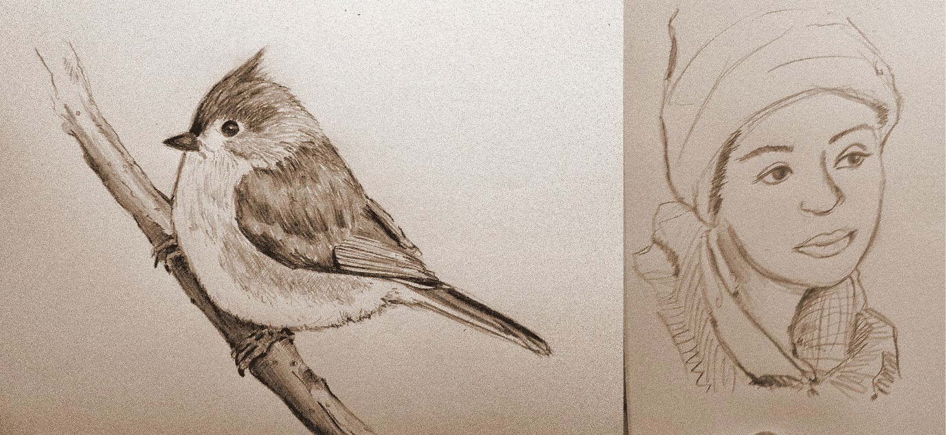 Dibujos de aves en lapiz - Imagui