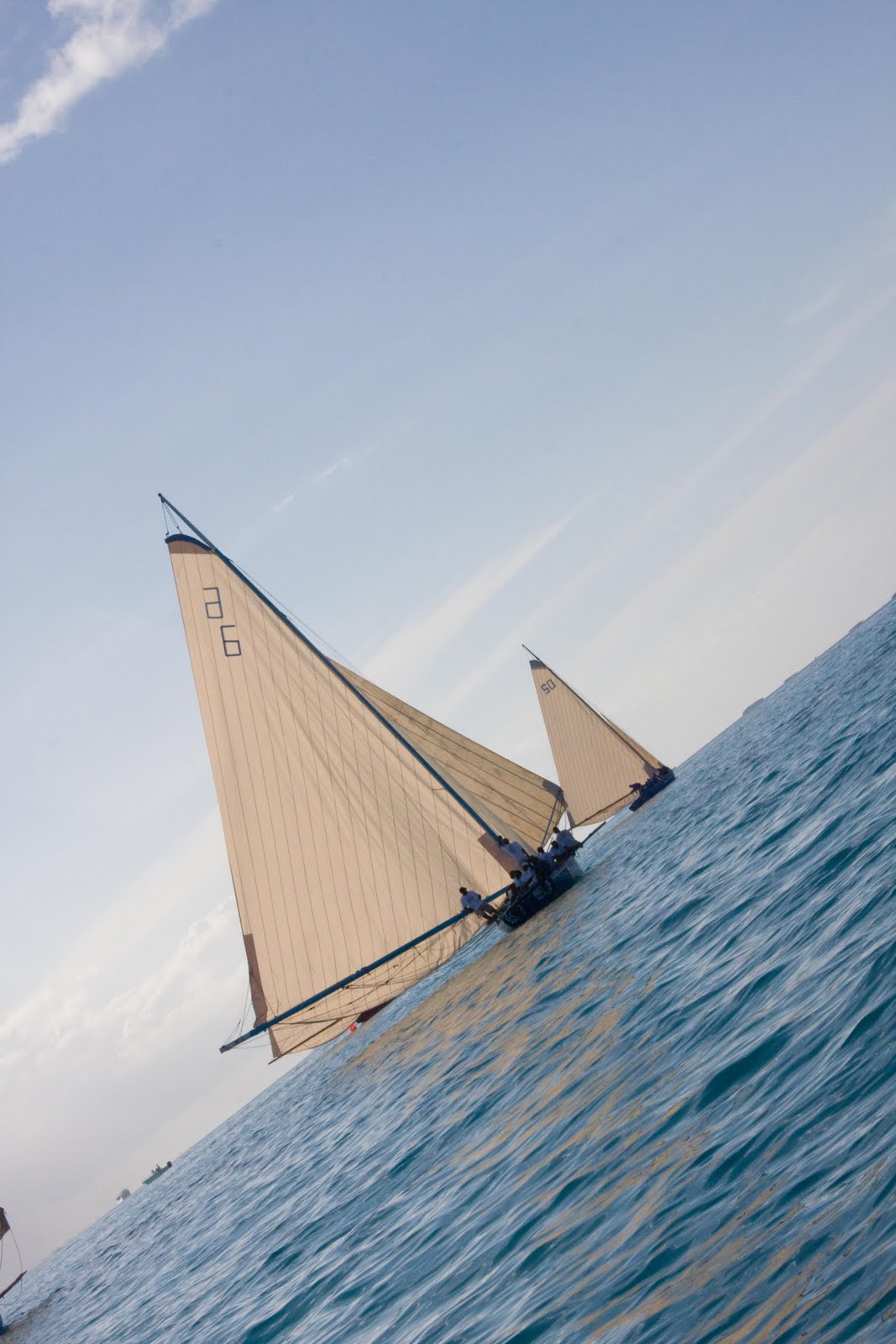 plodding in paradise: BAHAMIAN WINGS