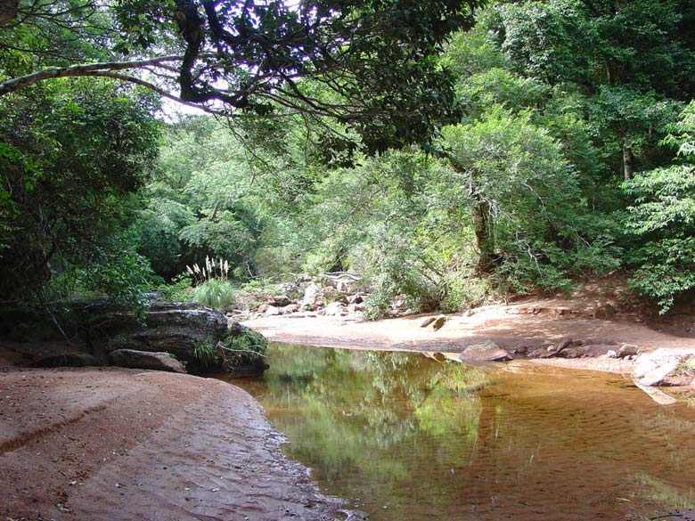 PARQUE NACIONAL AMBORÓ | Viajes y Turismo