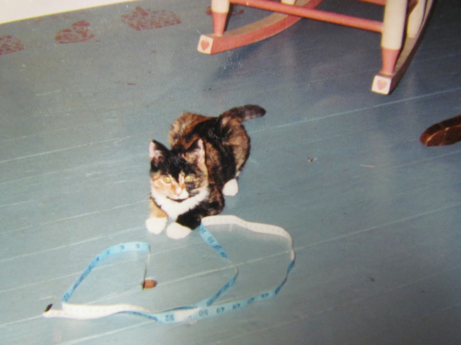 Owl Hairless: The Unique And Fascinating Phenomenon In Nature