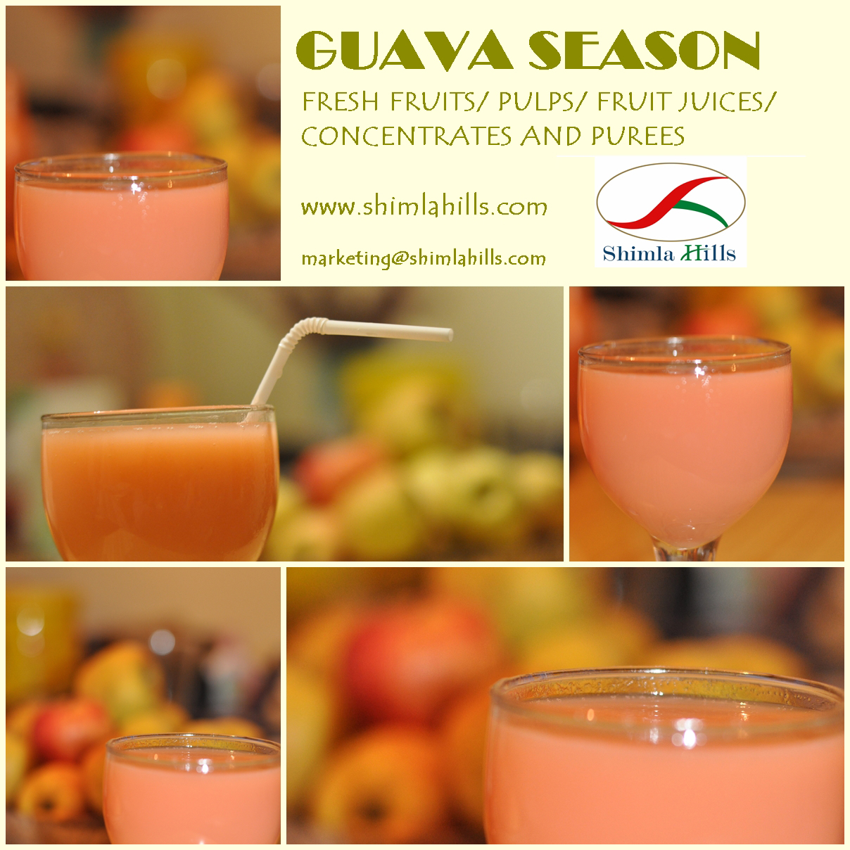 Shimla Hills Offerings Private Ltd (SHOP Ltd): PINK GUAVA- PRODUCT OF ...