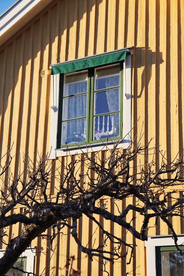 Swedish Windows | Janice Issitt Life and Style