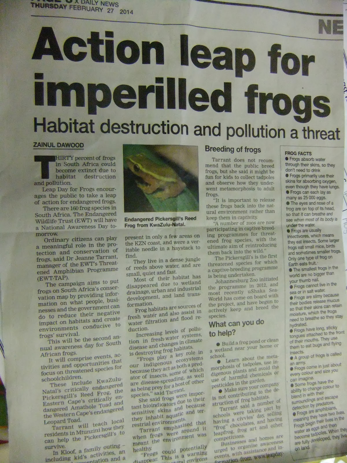 Smarties: Grade 2: Poggy Frog and the cows stories