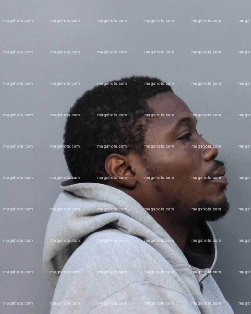 Miami Dade Florida Mugshots: Mugshot Fredic Dexter Bryant