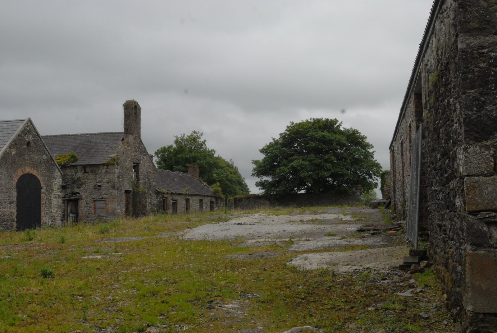 Four Little Monkeys: Rossmanagher