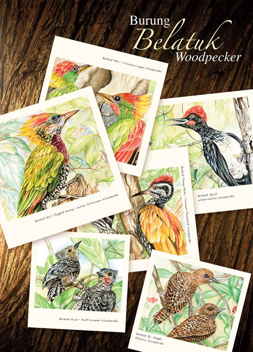 KasturiOlehKasturiAzzuri - Merayau di bumi Tuhan: Burung Belatuk